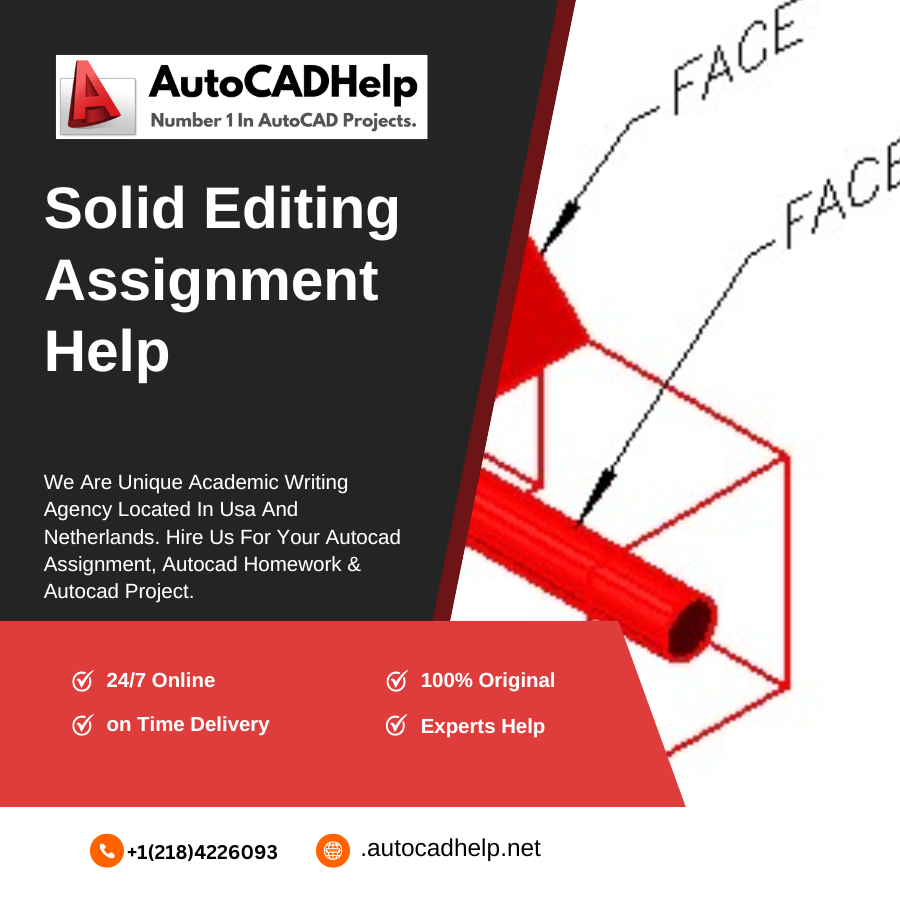 Pay Someone To Do My Solid Editing Assignment | Pay Someone To Do My ...